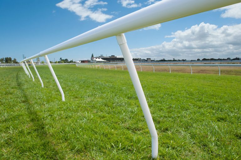 Plastic Running Rail | Horse Track Railing | Simtrack